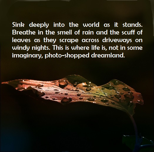 54 Thought-provoking Quotes from Present Over Perfect by Shauna Niequist