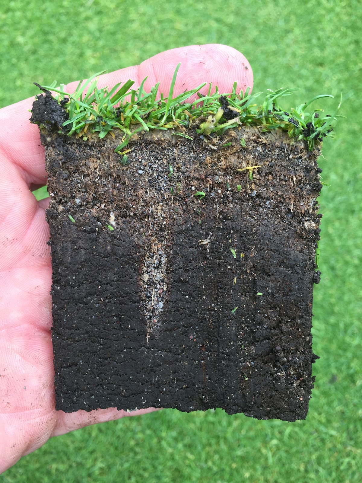 TacomaTurf: Golf on Sand