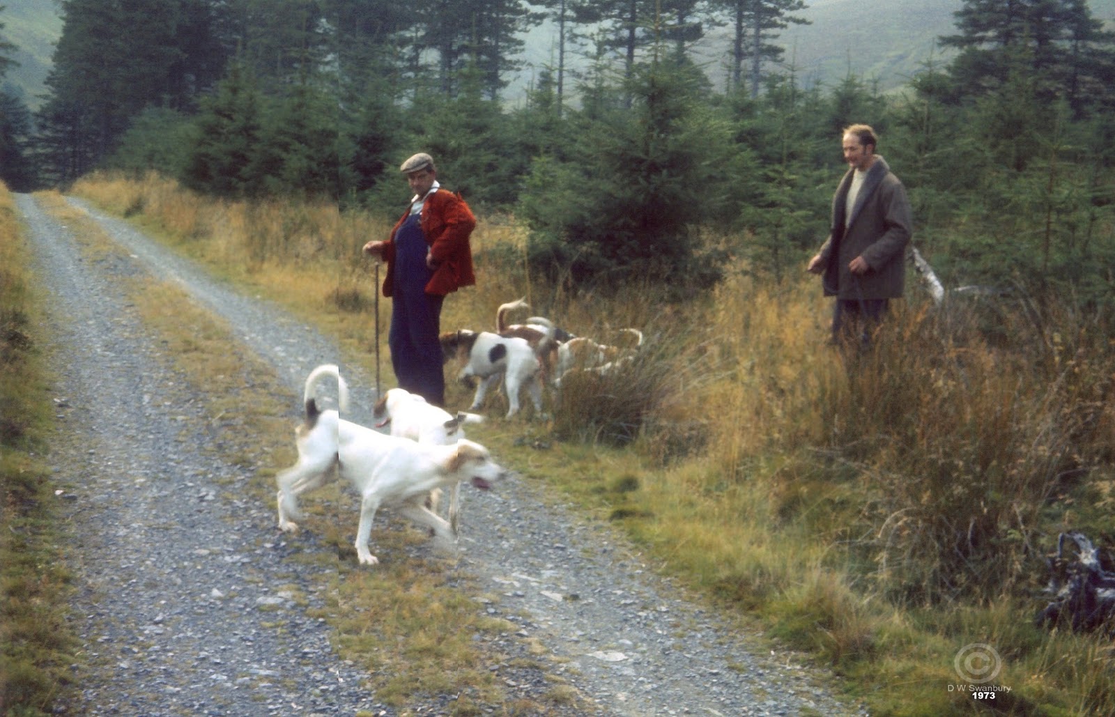 Colne Valley Beagles and other things of interest.: HUNTING ODDS AND ...