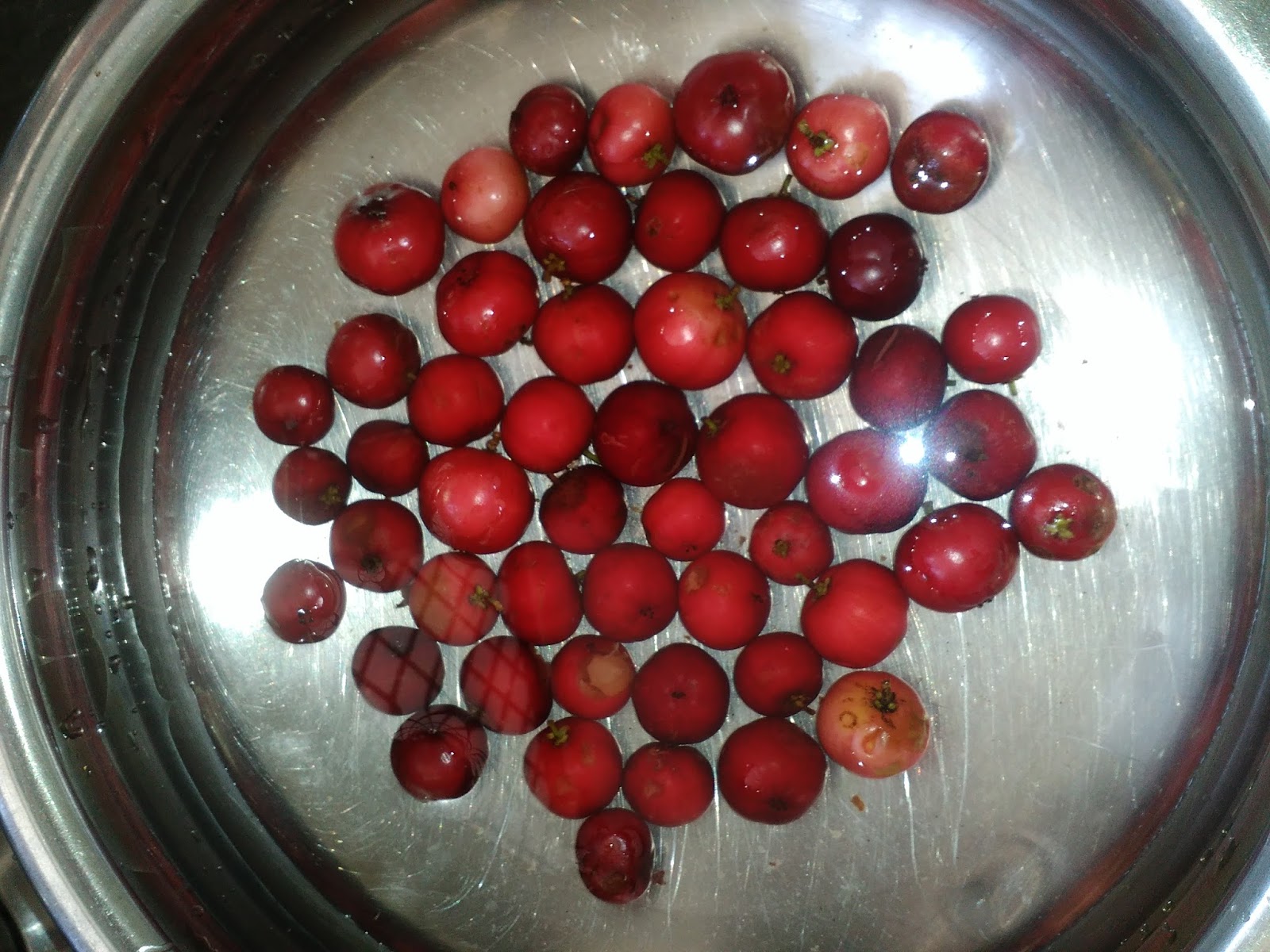 Raji Ramakrishnan : LAVALOLIKKA / LOLOLIKKA /LOOBIKKA PICKLE