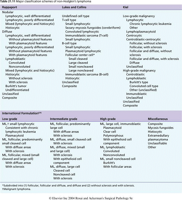 Limfoma Non Hodgkin ~ Informasi Kedokteran Dan Kesehatan