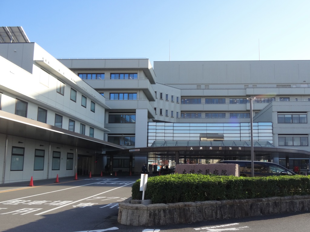 Anime Hospital Building