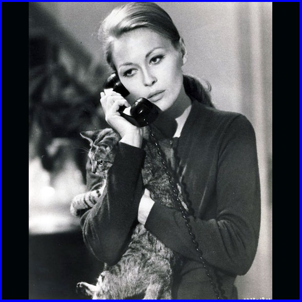 Magic Mac: Phone: Faye Dunaway (I Love my Cat)