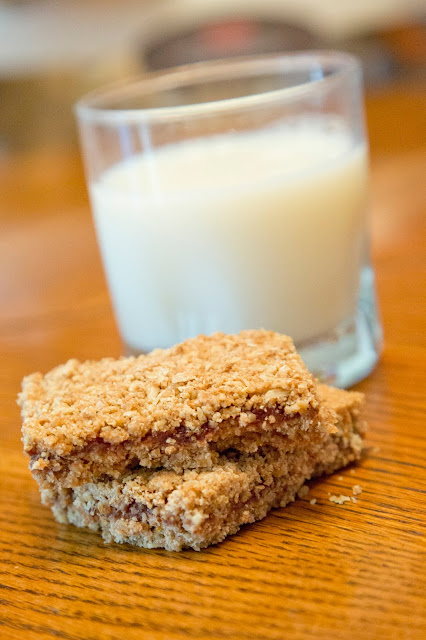 Nonesuch: Homemade Fruit Bars