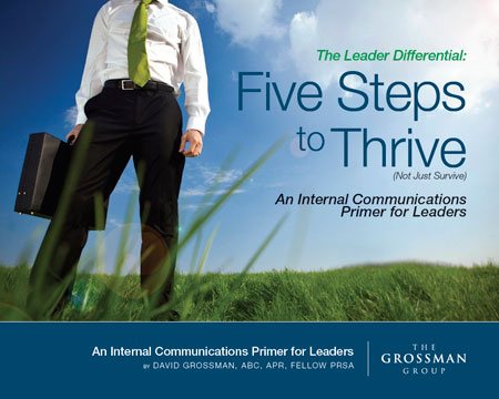 David Grossman's Five Steps To Thrive eBook -- Communication Primer For ...