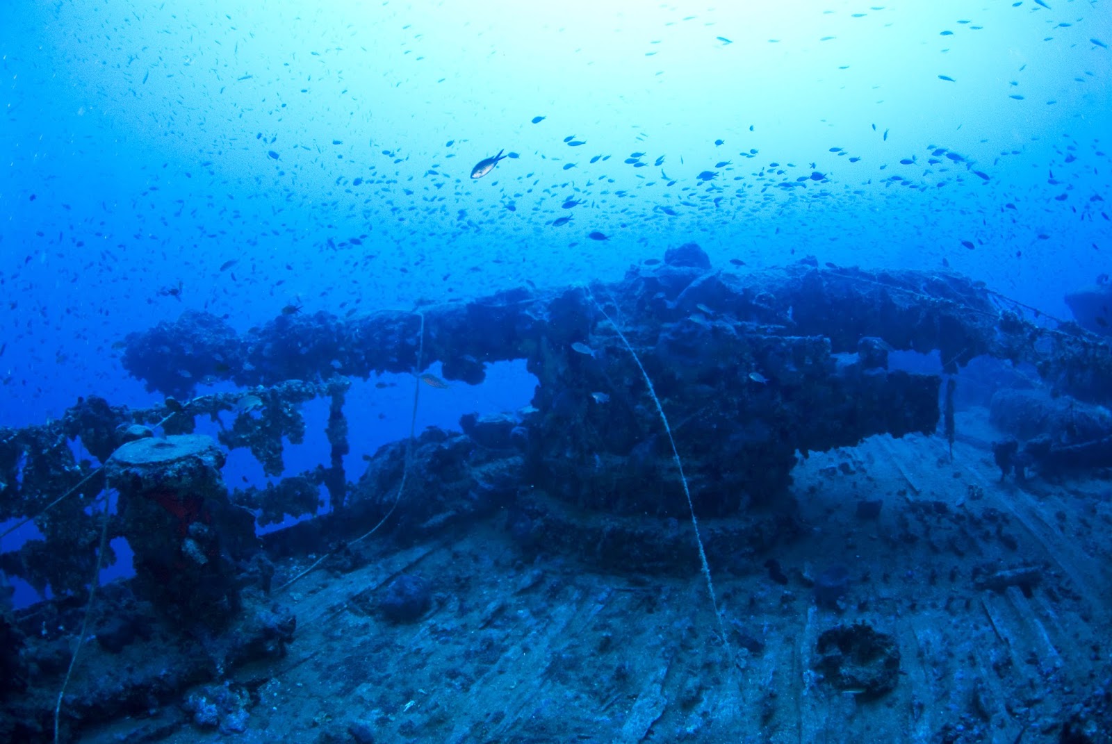 Burdigala: 100 years since the sinking of the second largest shipwreck ...