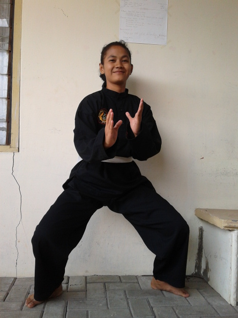 Teknik Dasar Pencak Silat - Pencak Silat Indonesia