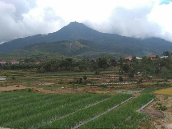 3 Tempat Wisata Untuk Menikmati Keindahan Gunung Talang