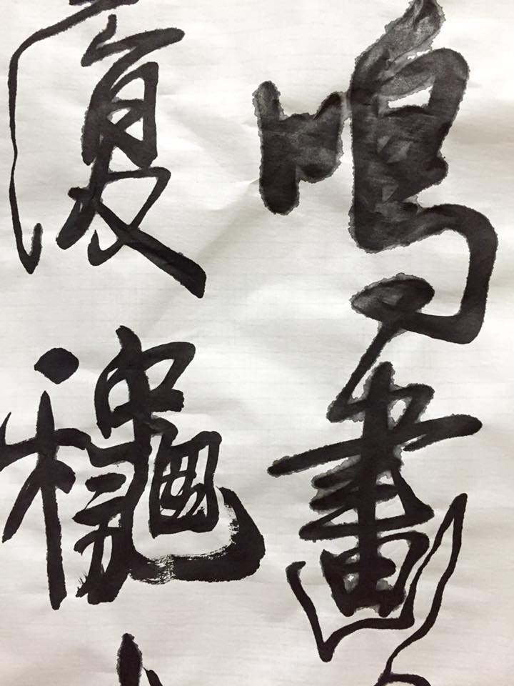 Emiko & Wilson's 生活小珍藏: 2016