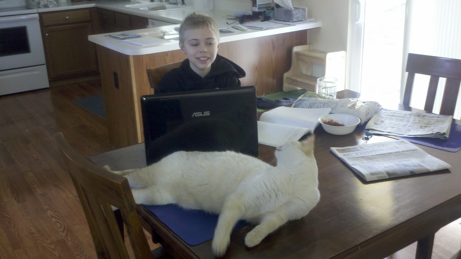 The Shredded Man Card: January 2012