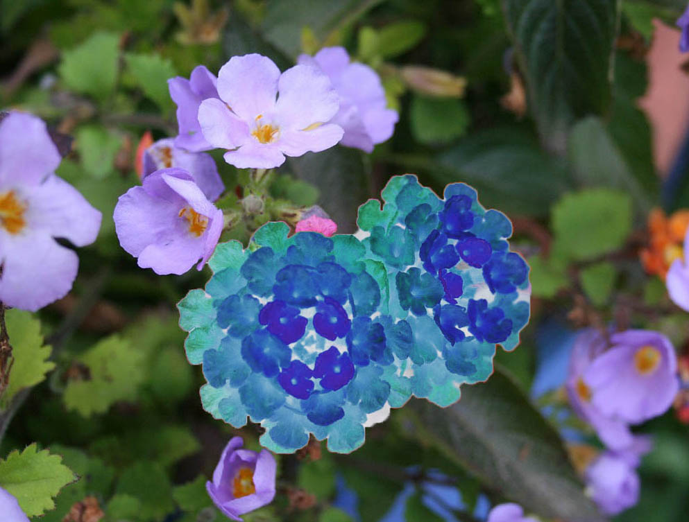 Bloomingwriter: Gardening in Nova Scotia: Exciting breakthroughs in ...