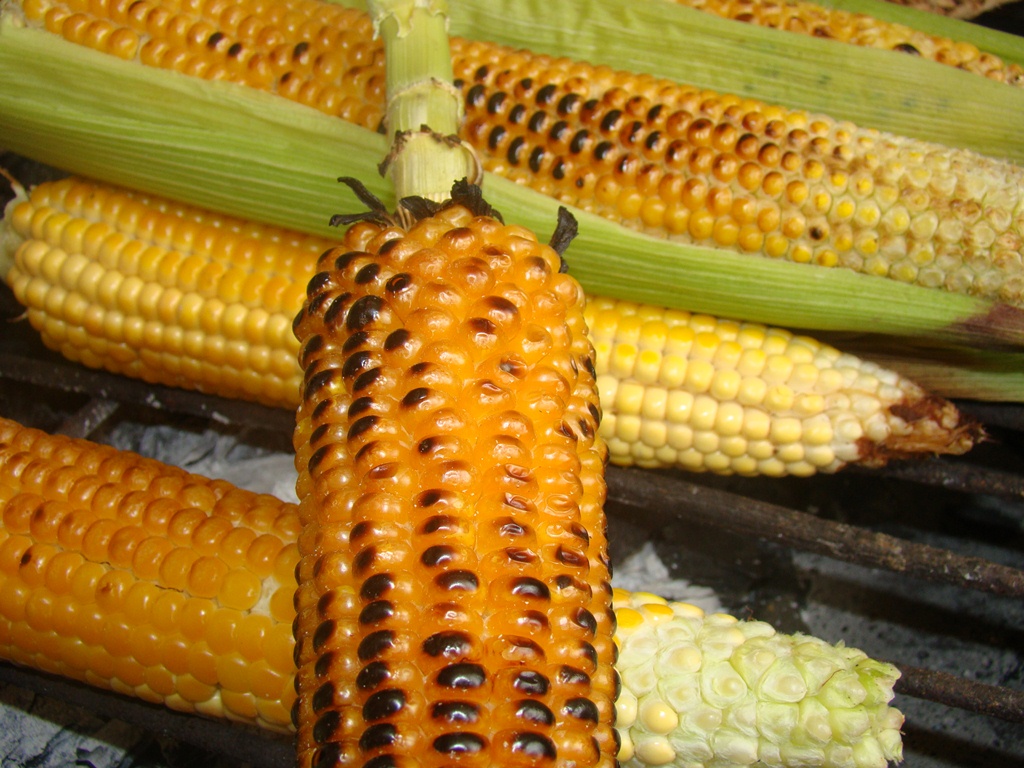 Cocinas y Recetas: Maíz, delicia en la dieta guatemalteca