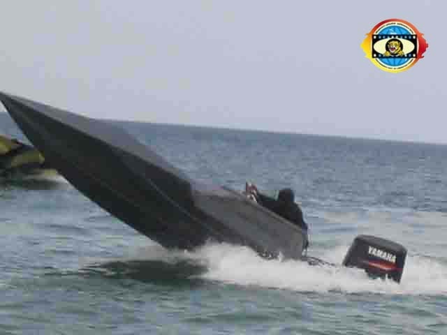 Guerrillas in the Midst: LTTE