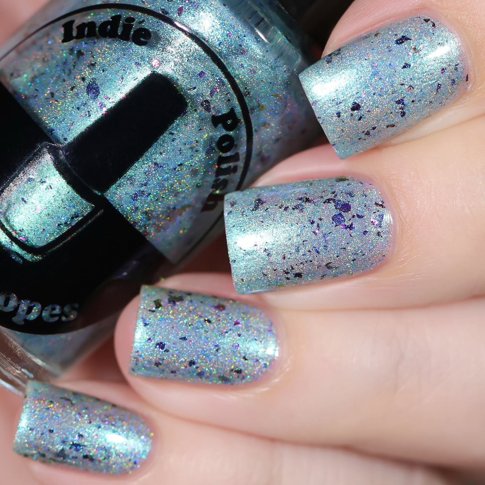 de briz: The Holo Hook Up Box June 2019 - Amazon Rainforest