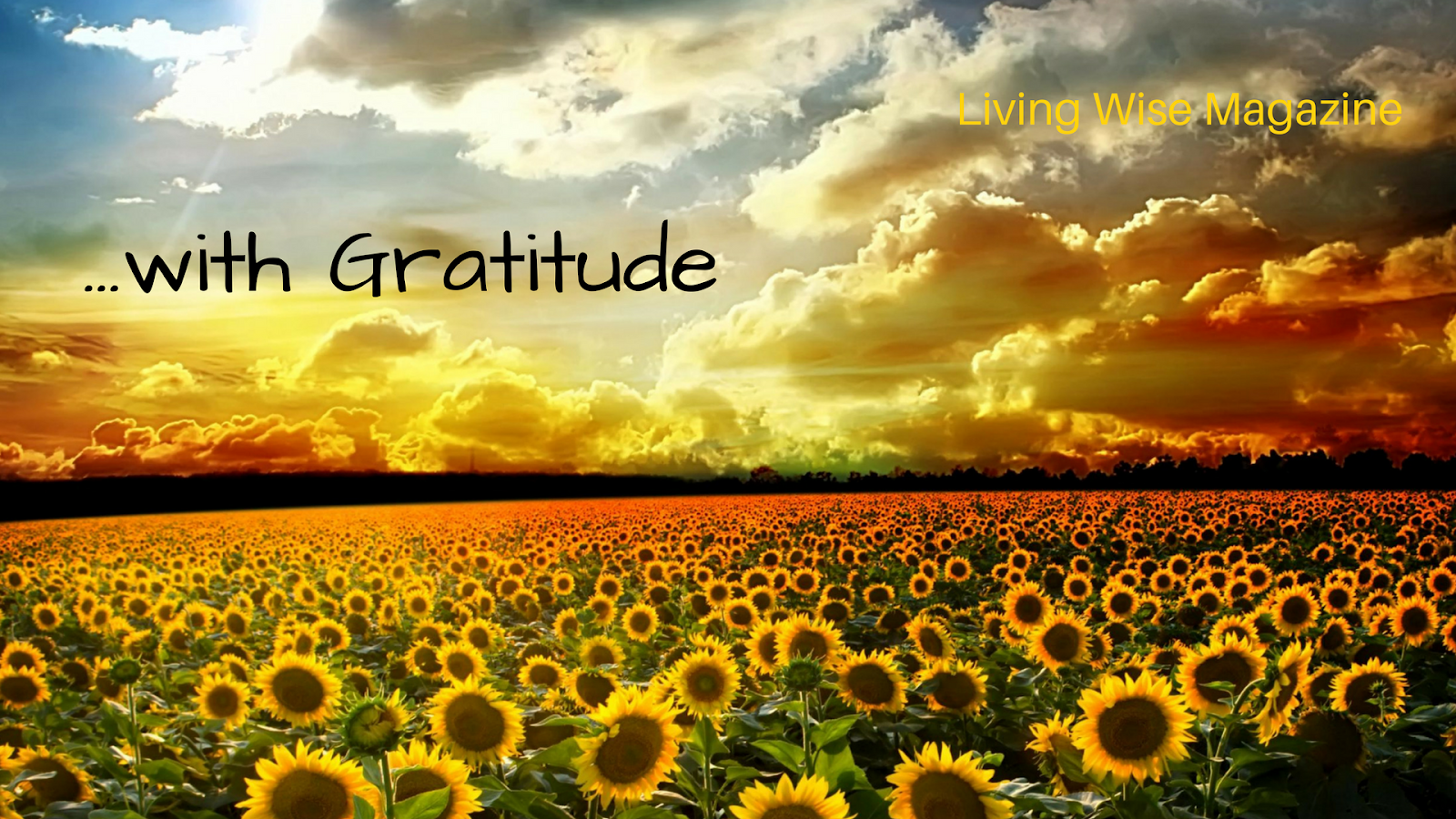 Be Truly Happy, Be Truly Grateful