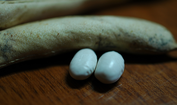 Knatolee's World: Beans of destiny