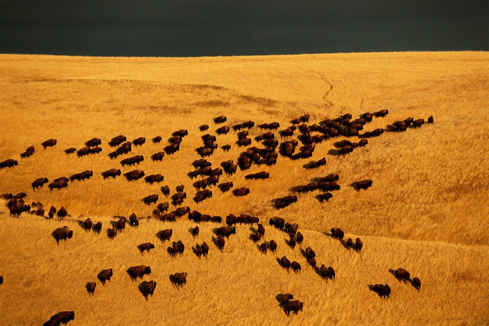 OLTRE IL MURO: ARTE e FOTOGRAFIA: JIM RICHARDSON | PHOTOGRAPHER