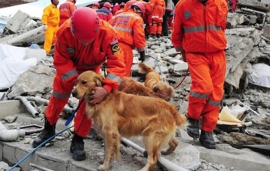 México a través de la mirada de una cubana: Día internacional de los ...