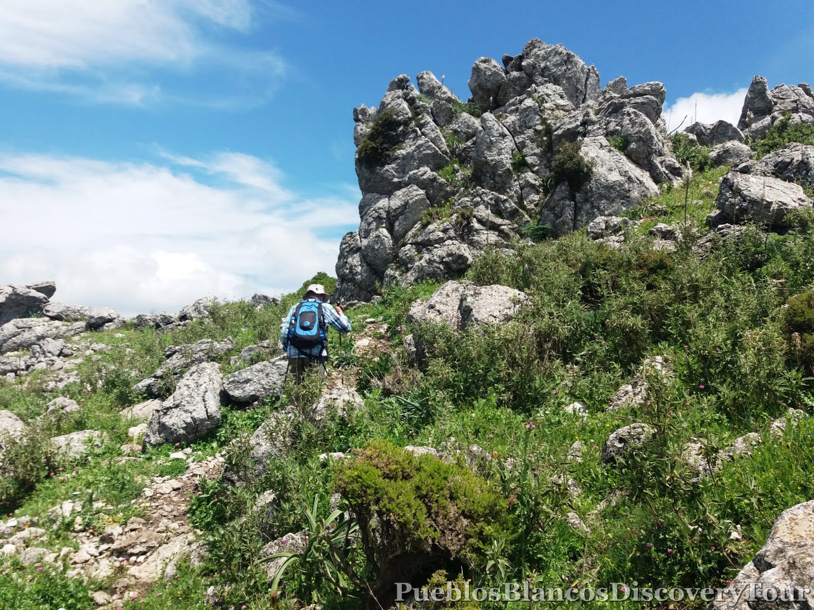 PueblosBlancosDiscoveryTours: Sierra del Hacho, Gaucín