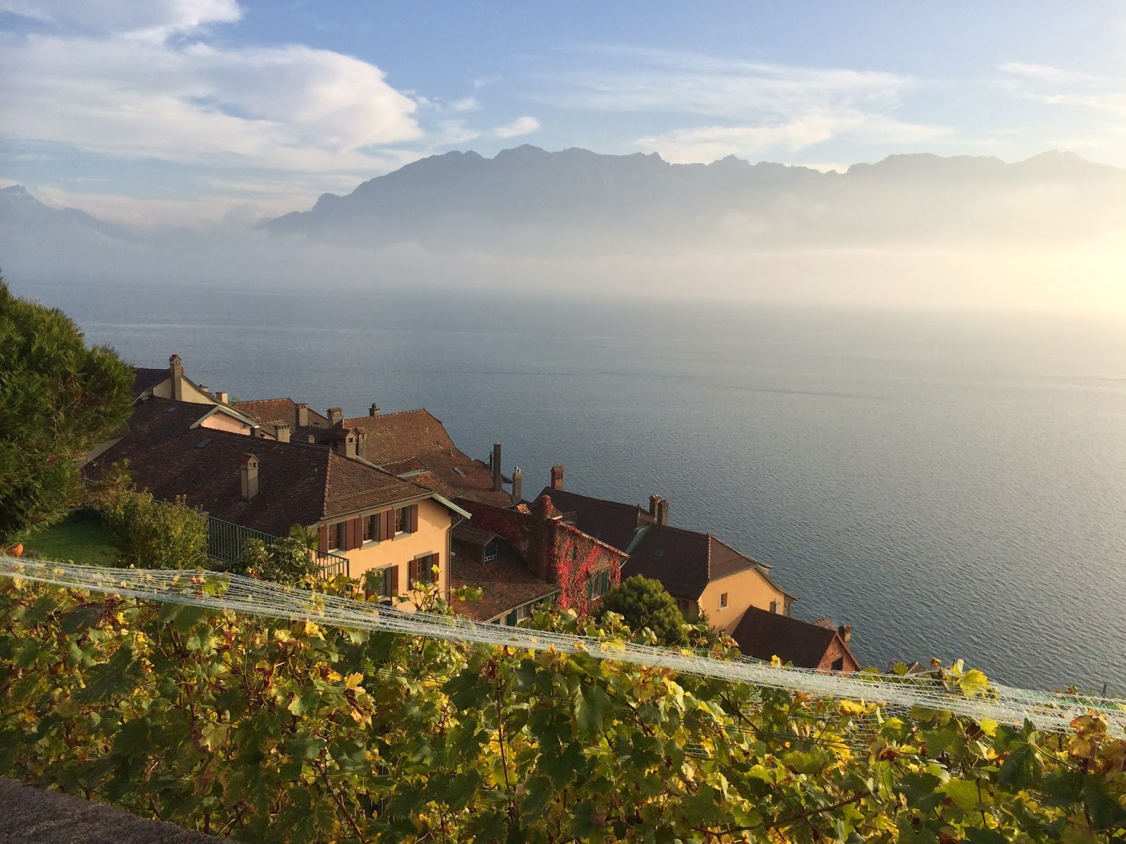 Wandering Voyager: Lavaux Vineyard Terraces in Switzerland