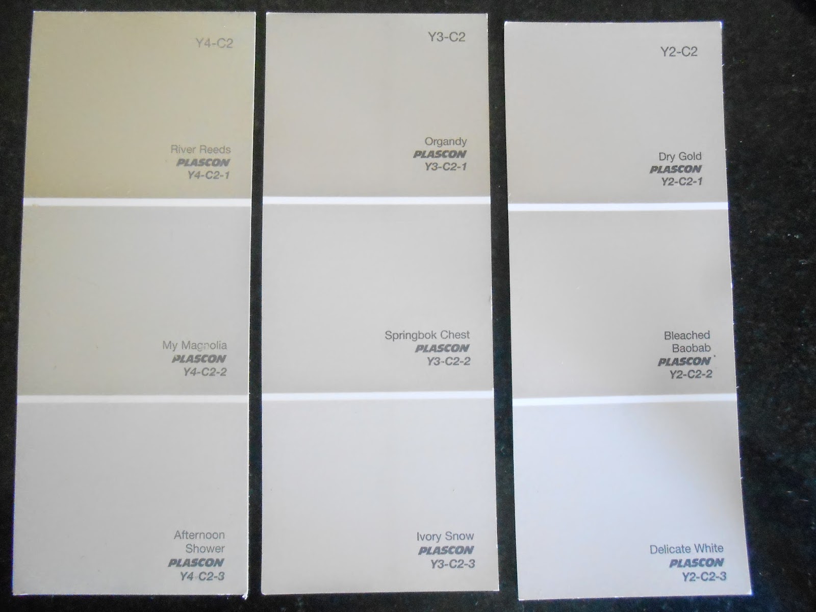 Well, It's Africa...: The Colors of Zim