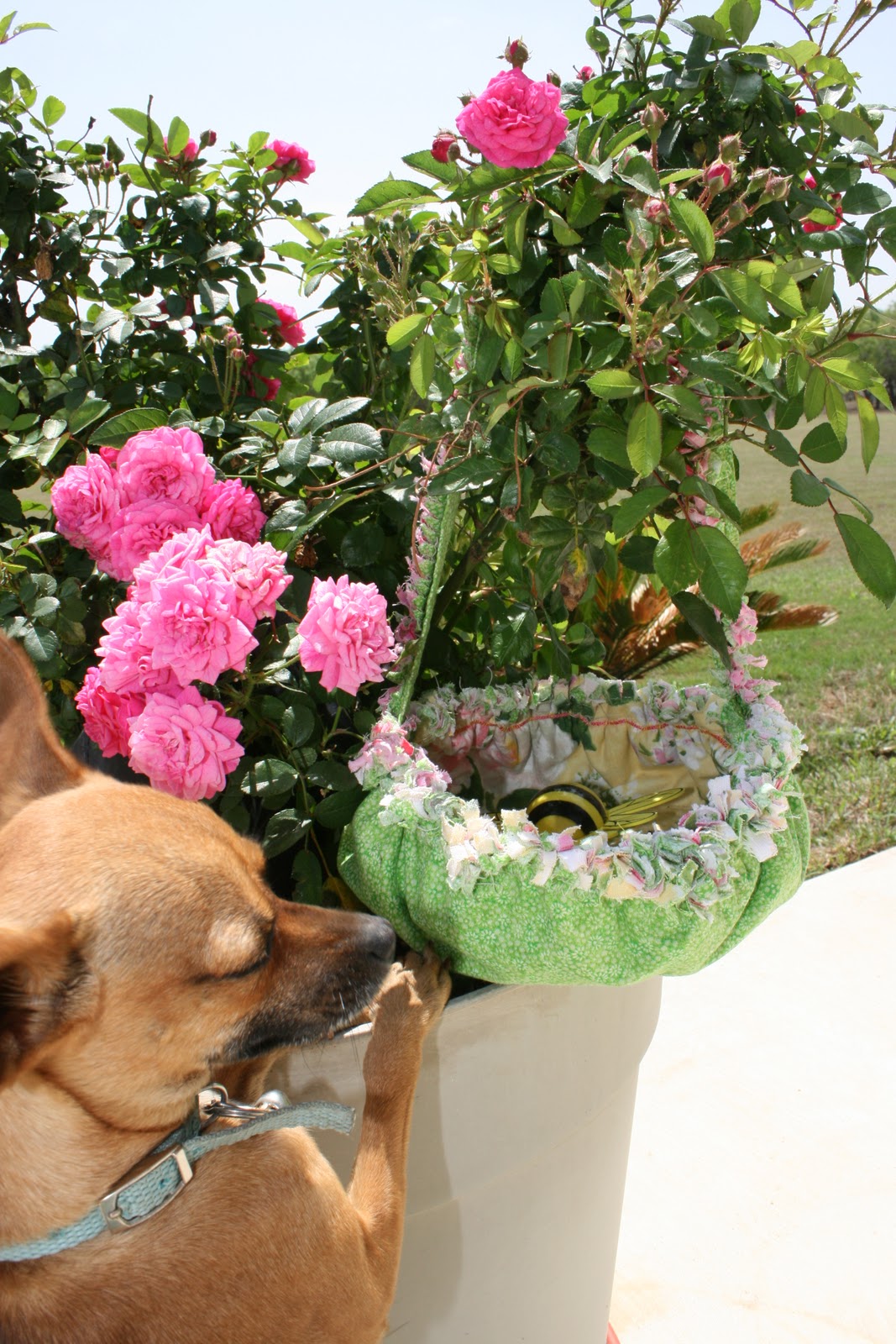 Buzzing and Bumbling: Fringed Edge Easter Basket Tutorial