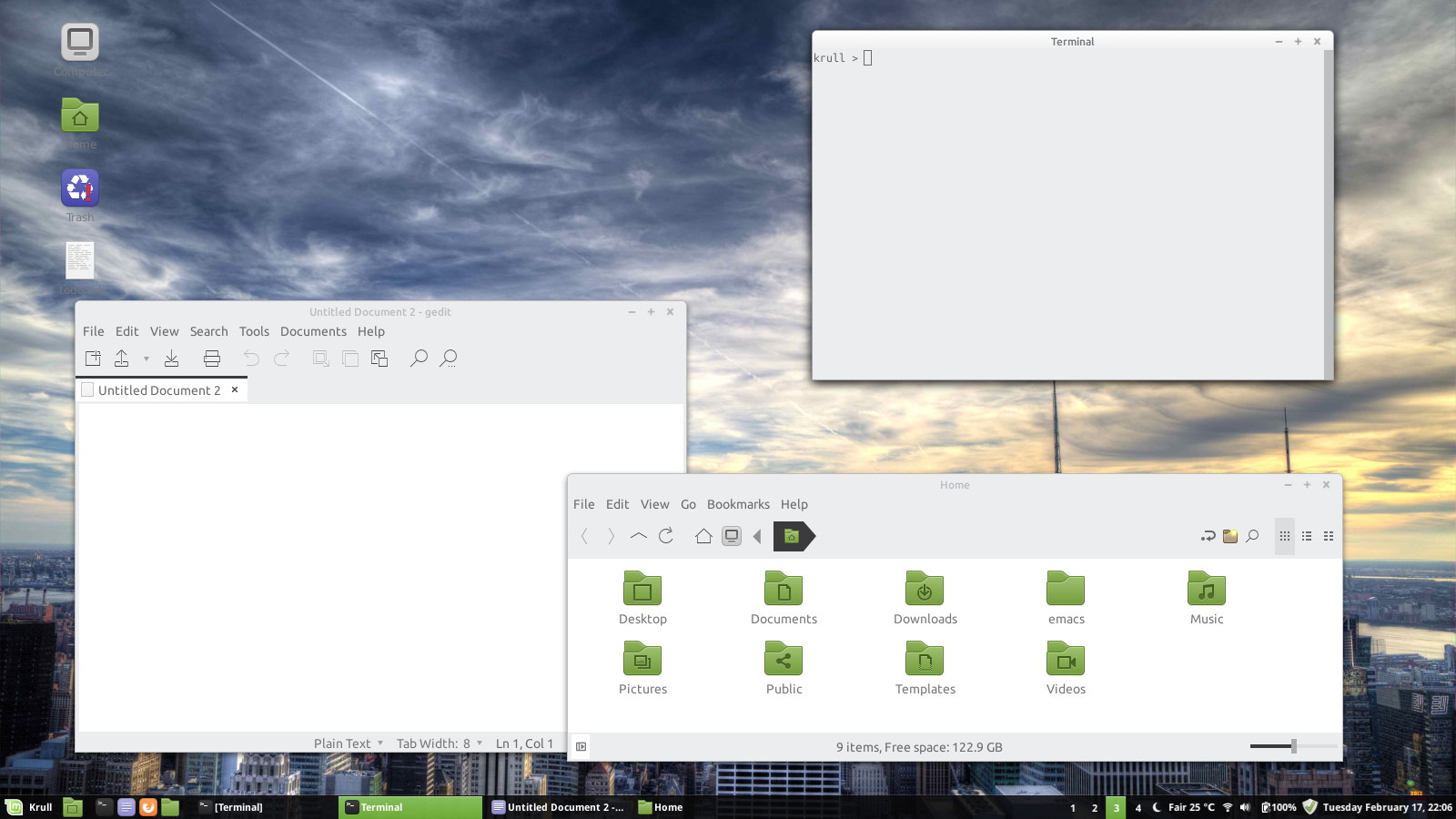 oesediez: The current Linux Mint desktop