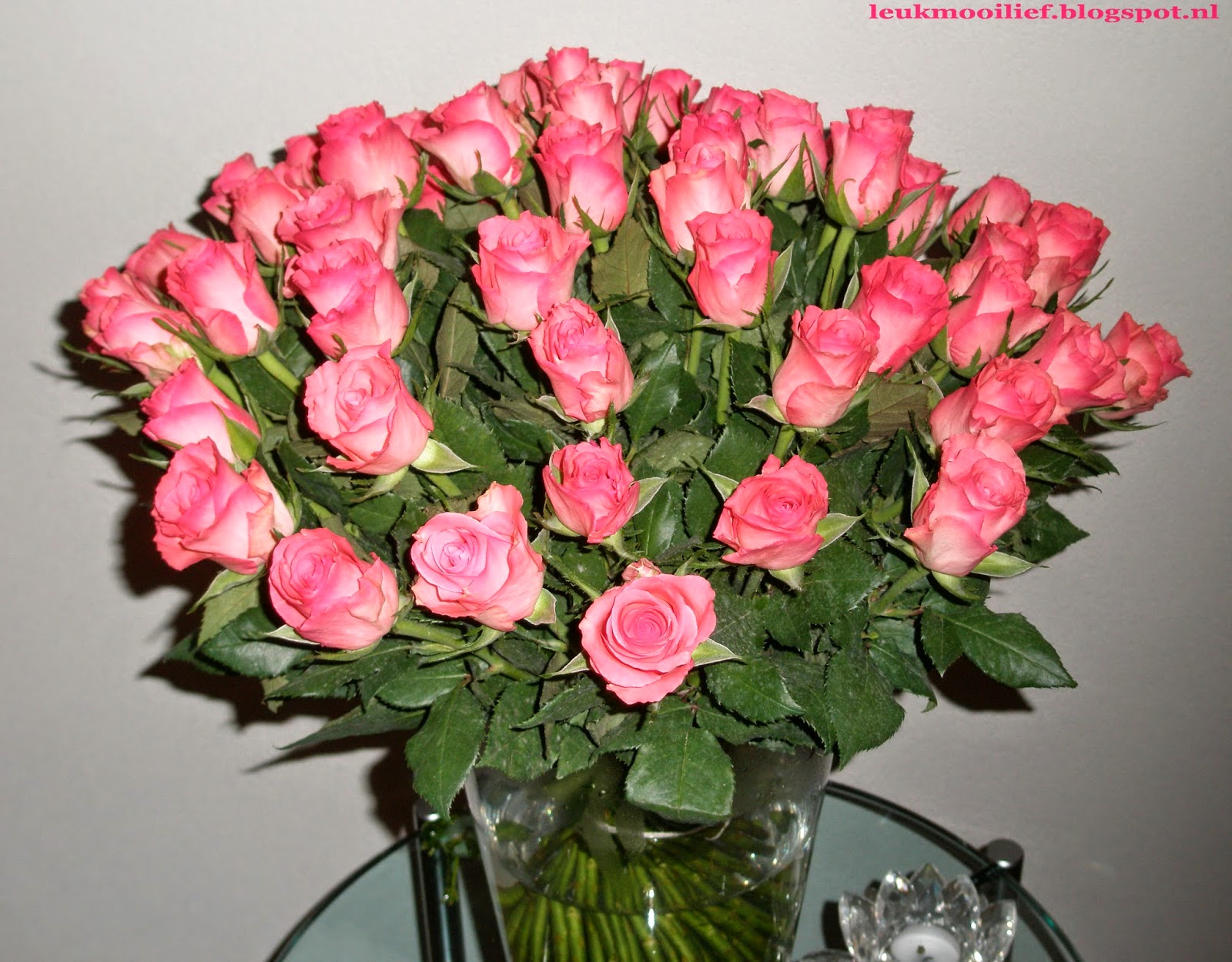 Leuk Mooi Lief: Romantische Rozen