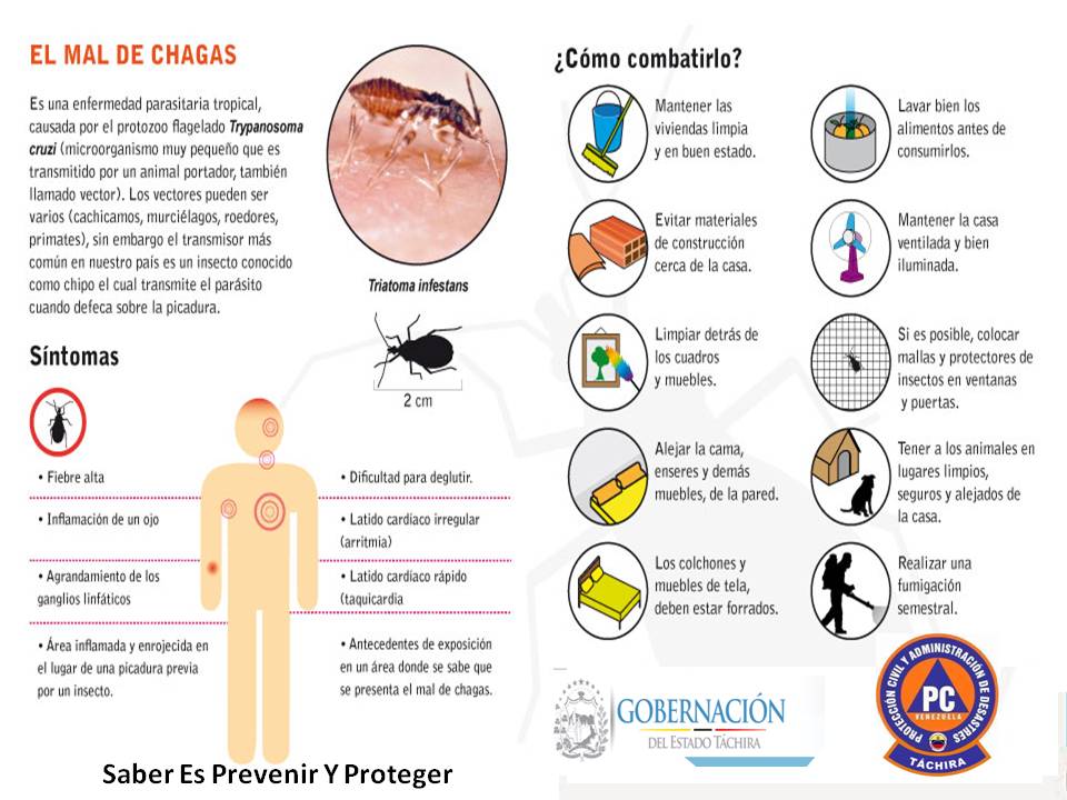 Protección Civil Táchira: El Mal de Chagas - Síntomas - ¿ Cómo Combatirlo