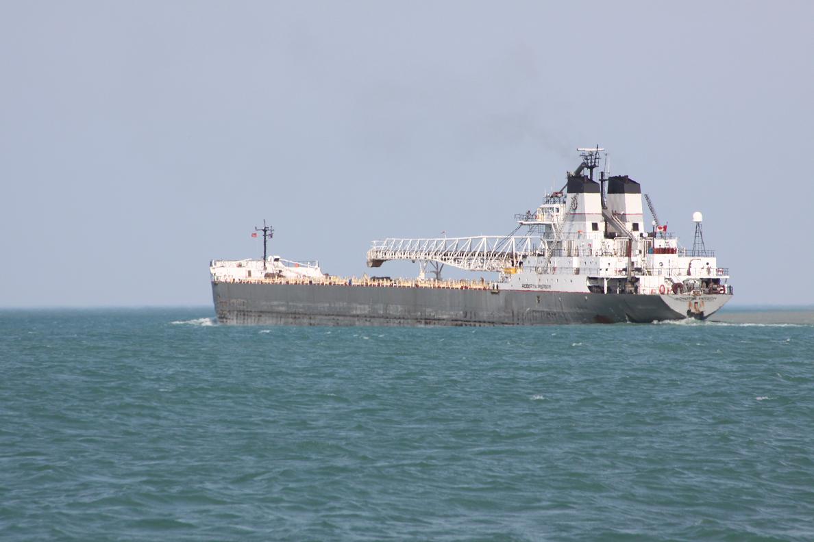 Michigan Exposures: The Robert S. Pierson