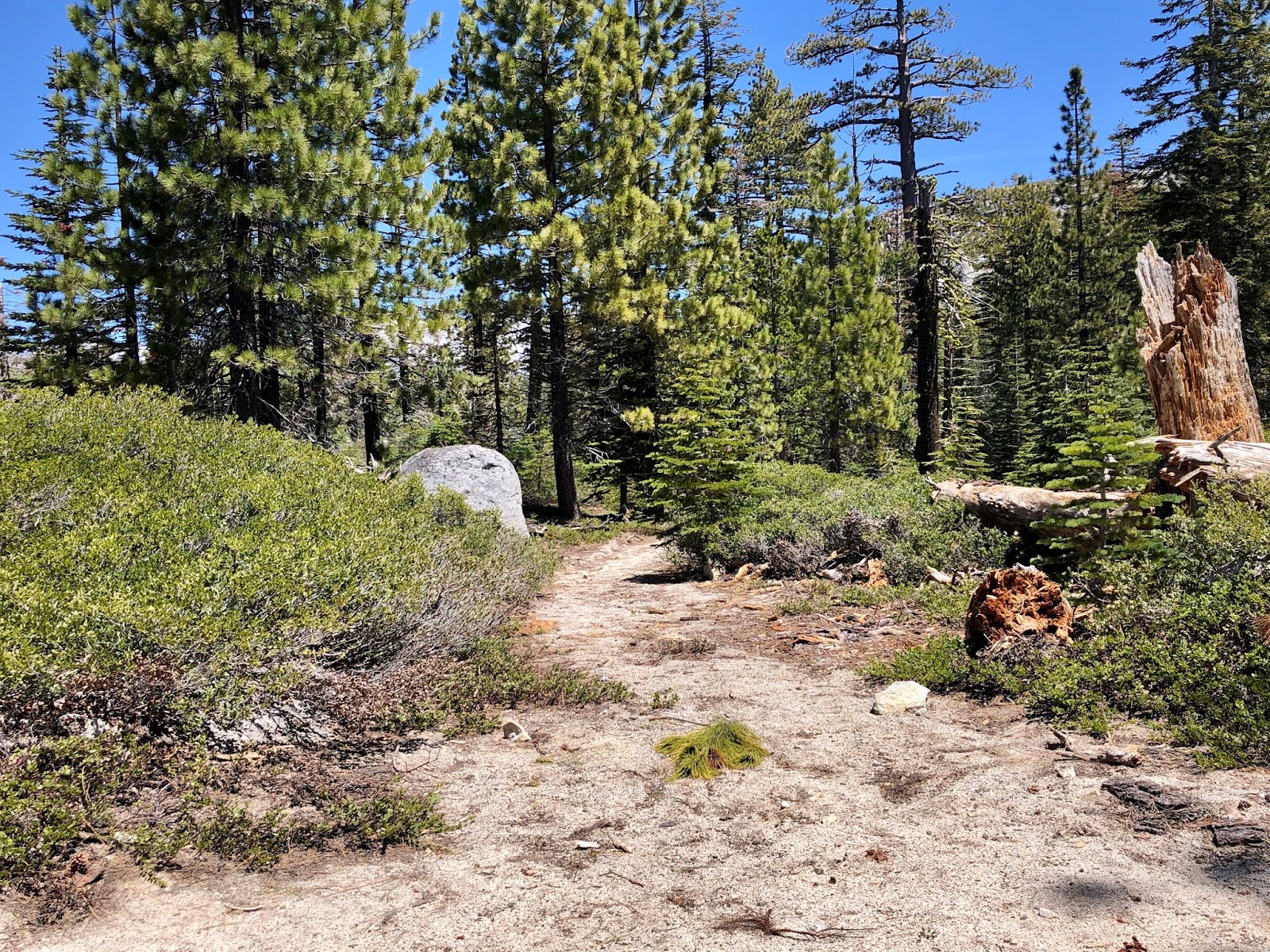Crystal Basin Boondocking - Memorial Day 2020