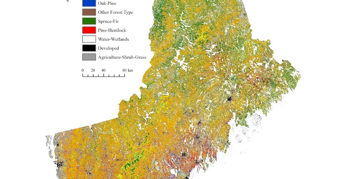 Forest types of New England