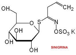 El blog de la salud integral: DESINTOXICARSE: ¿WHY NOT...?: 2ª PARTE.