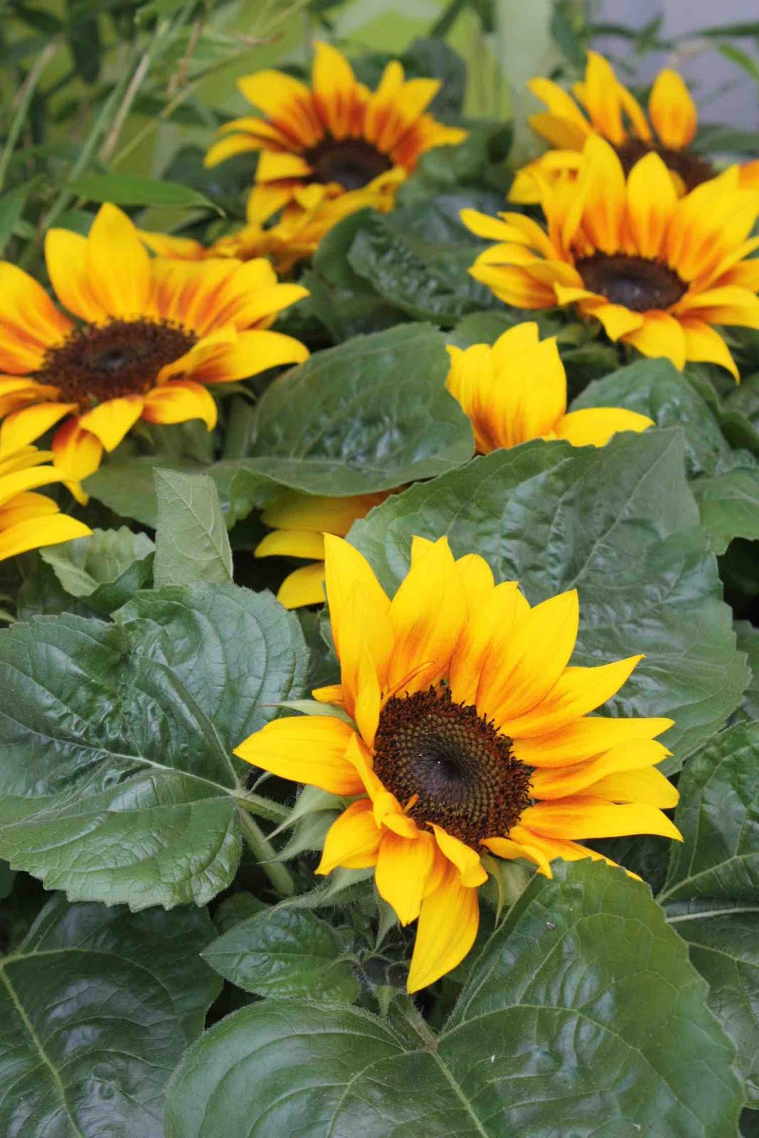 ATELIER DE CAMPAGNE: Found Along the Way