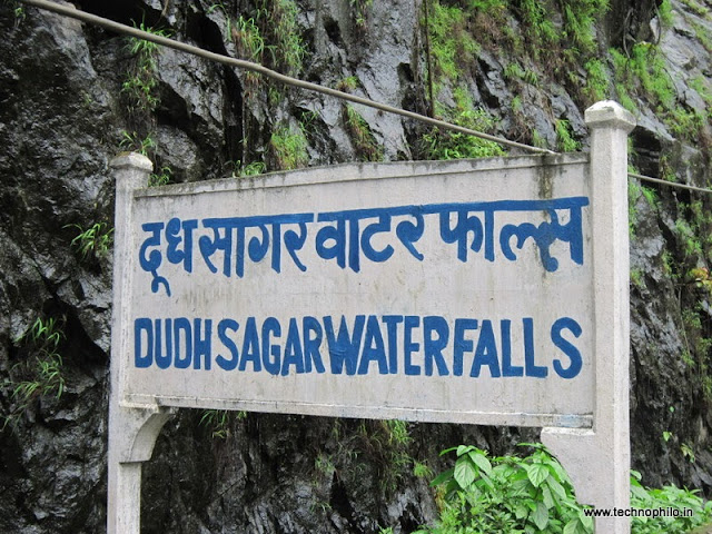 Dudhsagar Waterfalls and Trekking