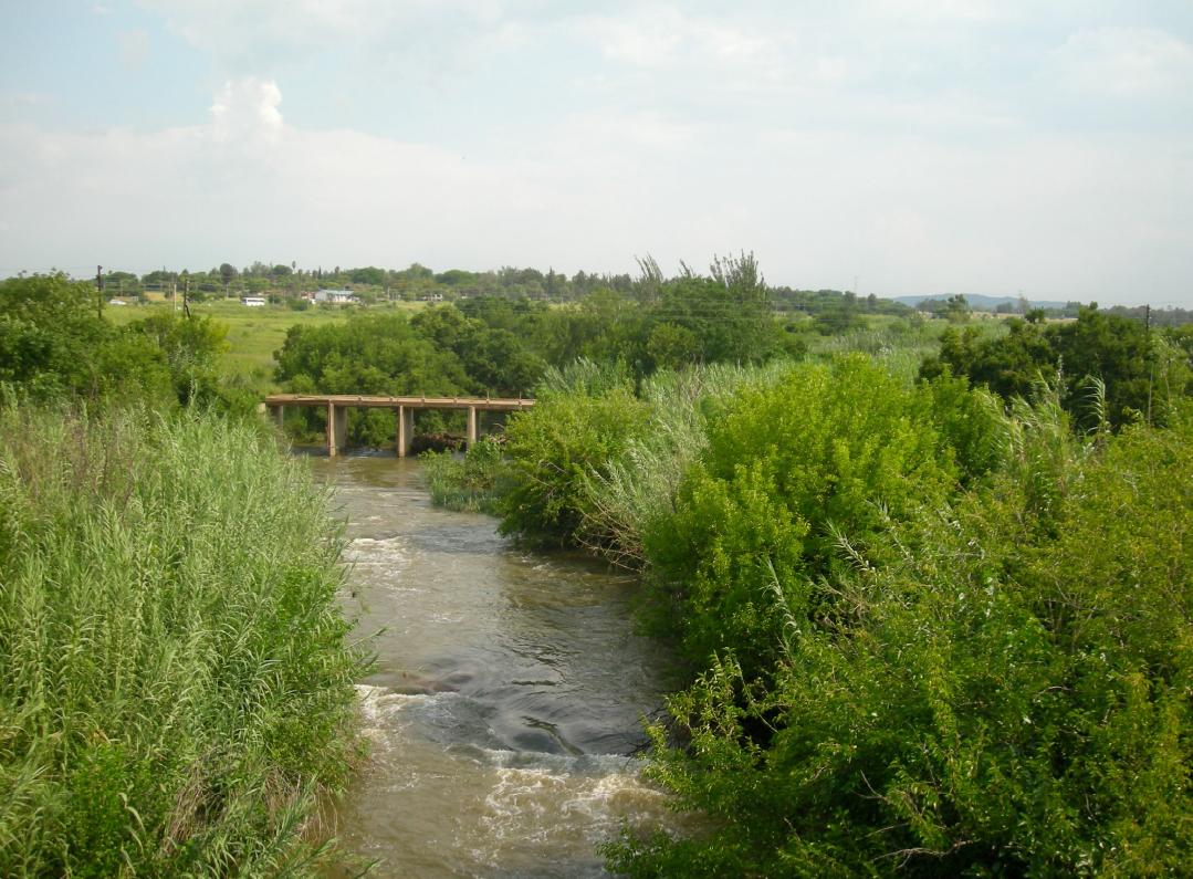 SUSTAINABLE PRODUCTIVITY: EUTROPHICATION OF WATER RESOURCES - CAUSES ...