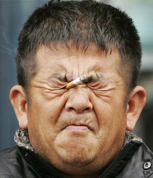 Fun Unlimited in Mind: Top Funny Faces Pictures