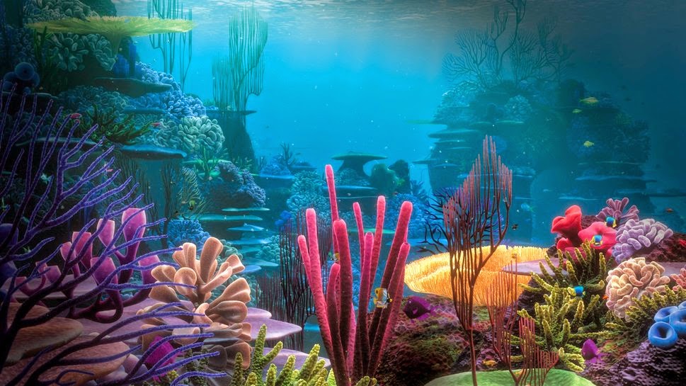 @ Imagens e Fotografias de: Wallpapers Com Imagens de Oceano