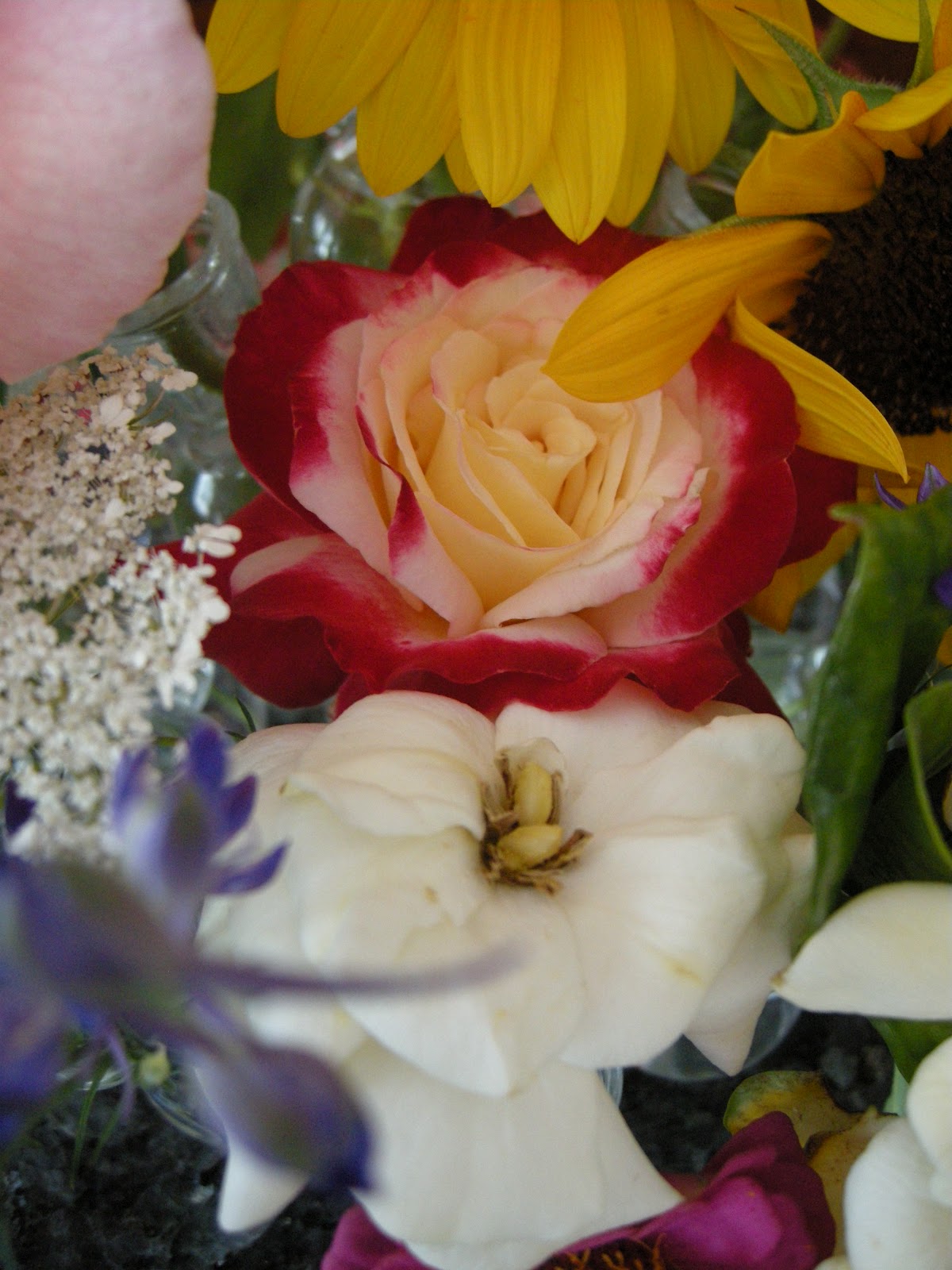 Kitchens Are Monkey Business: Rosie's Flowers.