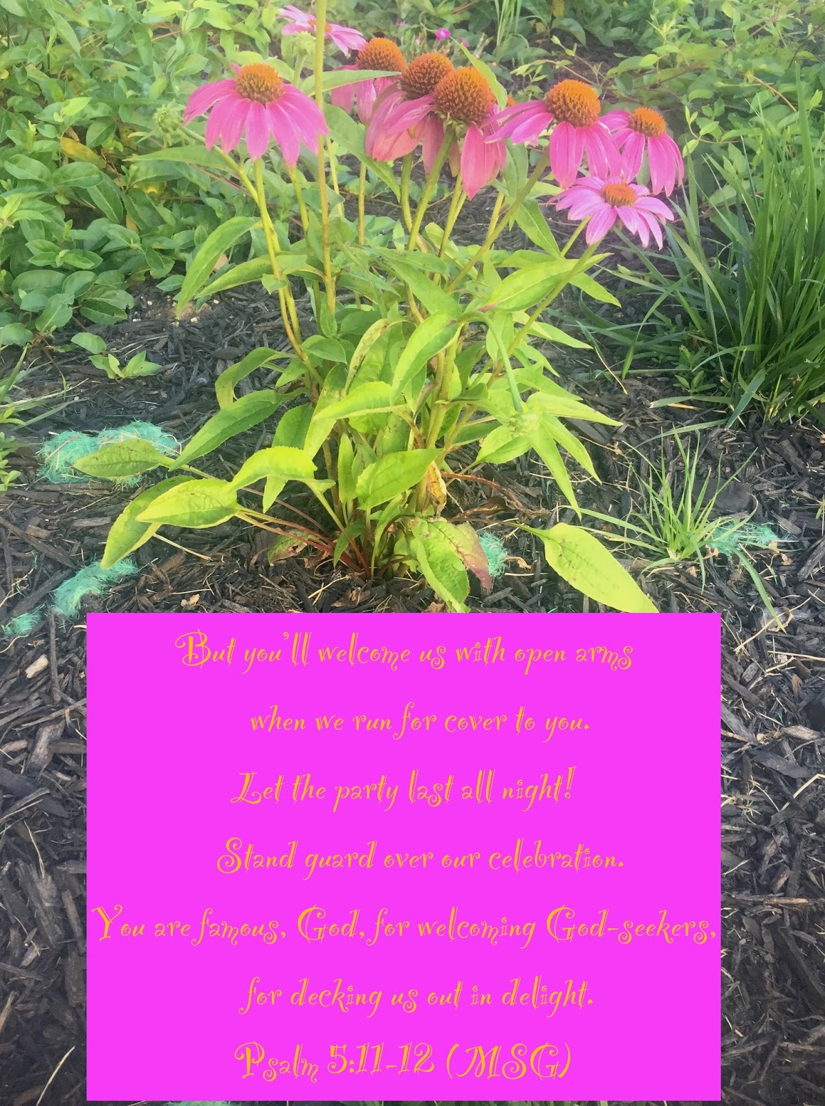 My Strength Psalm 5 11 12 Home my-strength-psalm-5-11-12-home