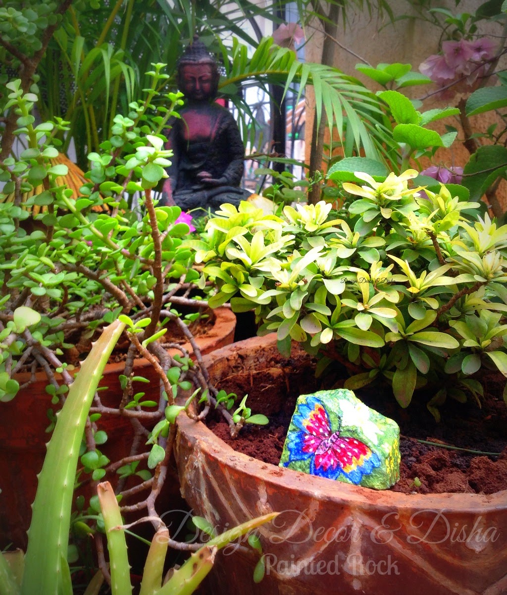 Rock To Rocking Rock ~ INDOOR HOUSE PLANT GUIDE