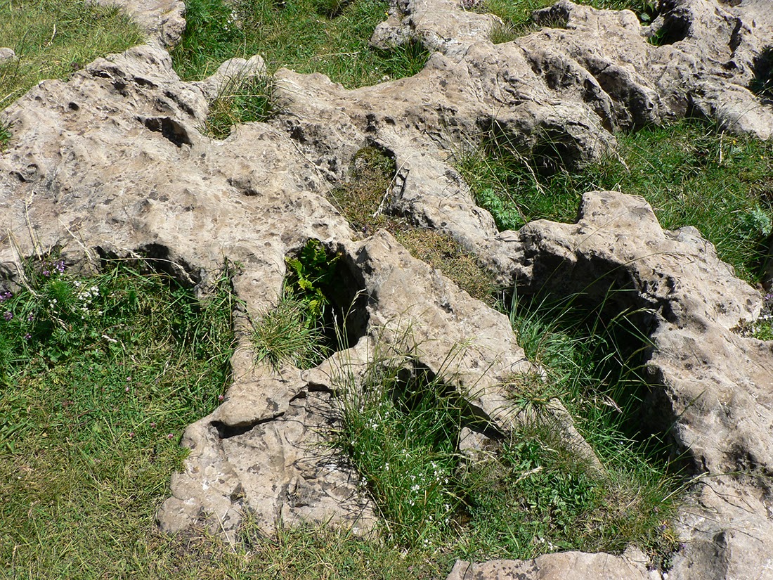 CURIOSIDADES CIENTÍFICAS : Lenares o Lapiaces