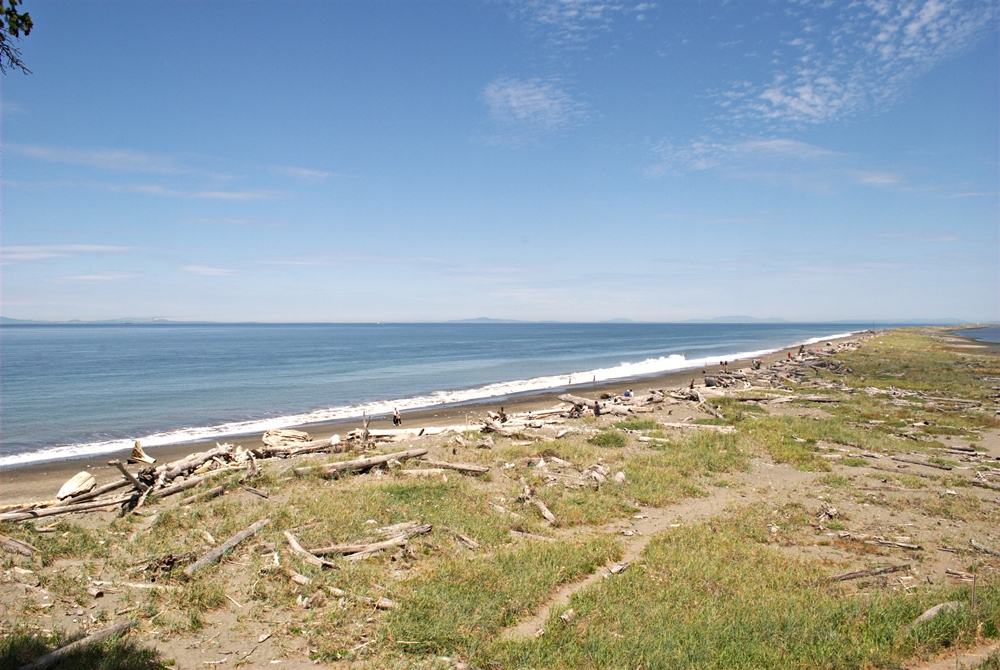 The Bumblebeez: The Unfinished Hike...Dungeness Spit, Sequim WA