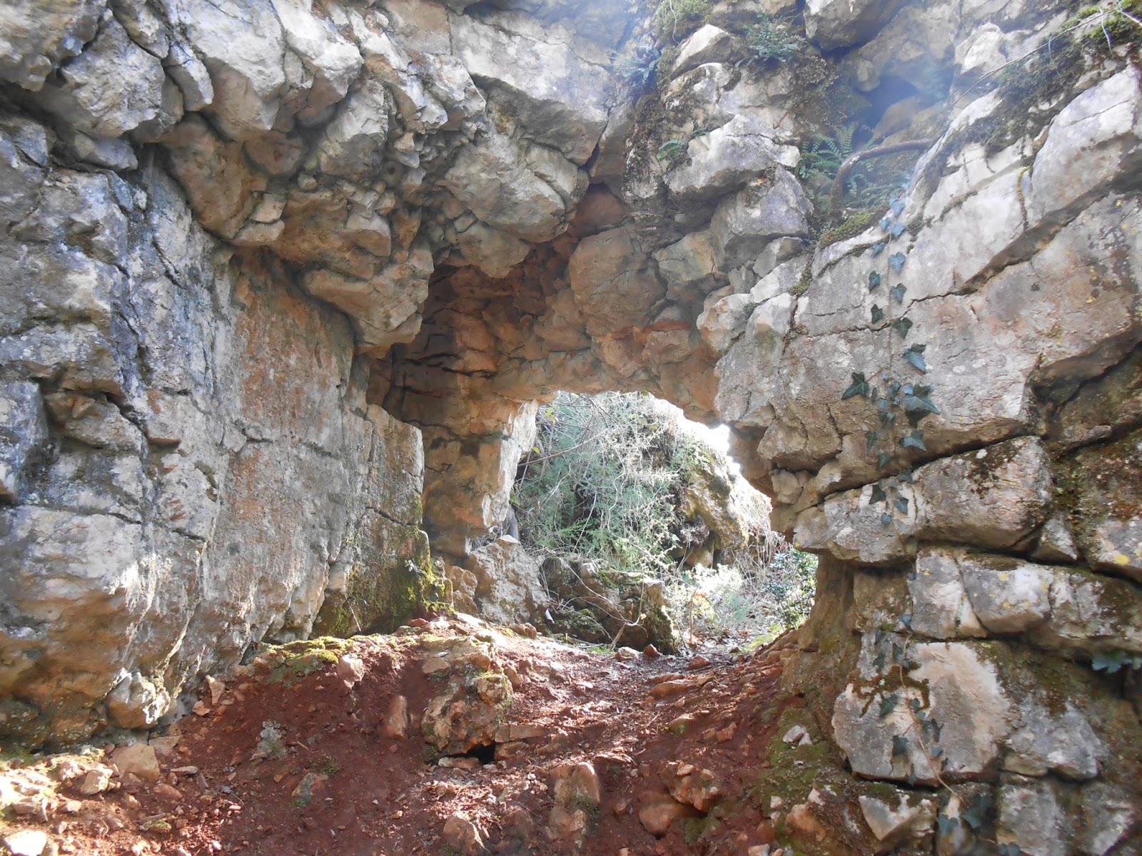 Lo straordinario fascino del Carso