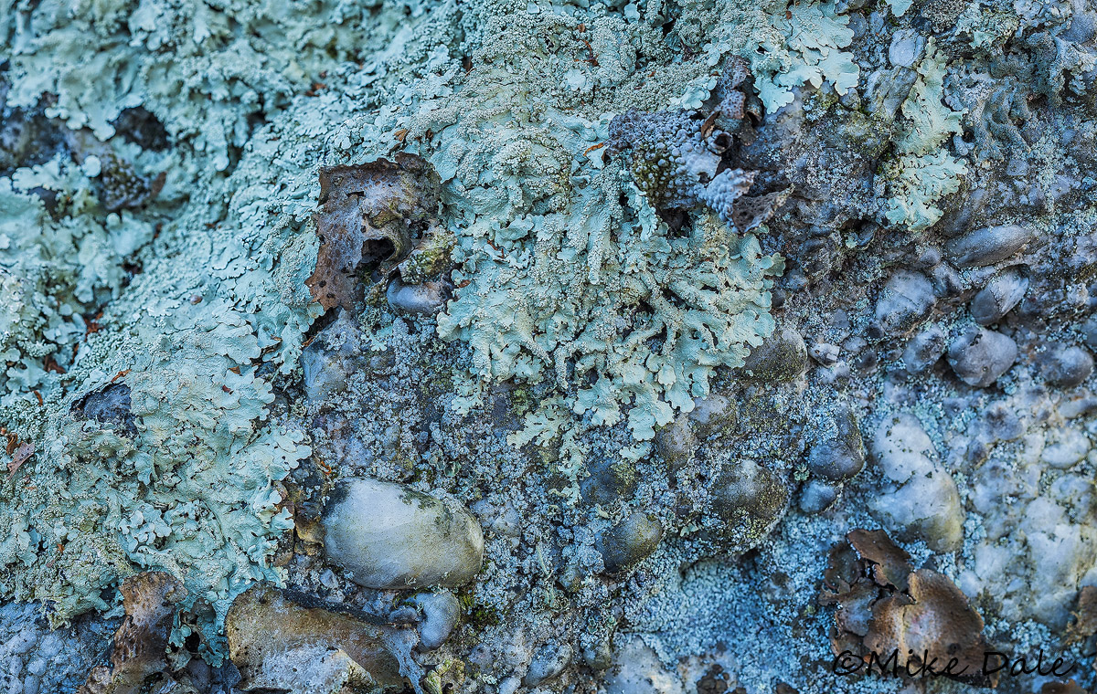 Mike's Photographs : Boxcar Rocks