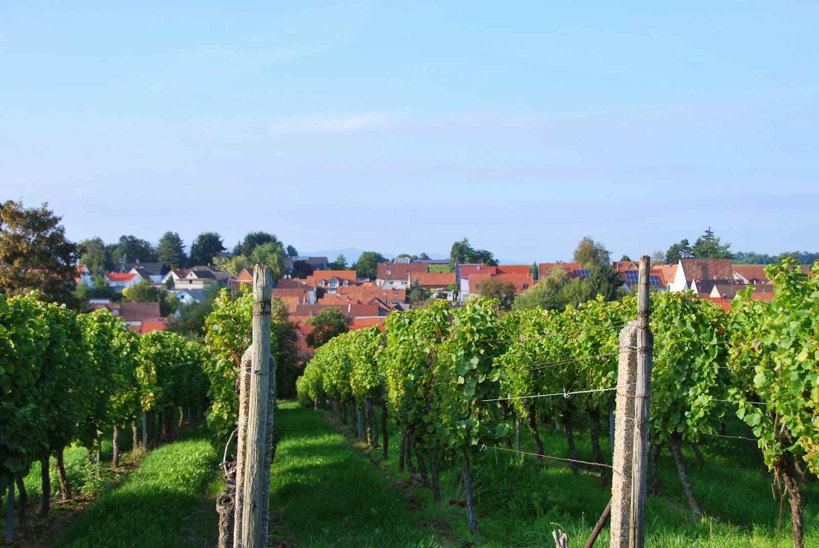 Kim Wolterman: Traveling to Insheim, Germany