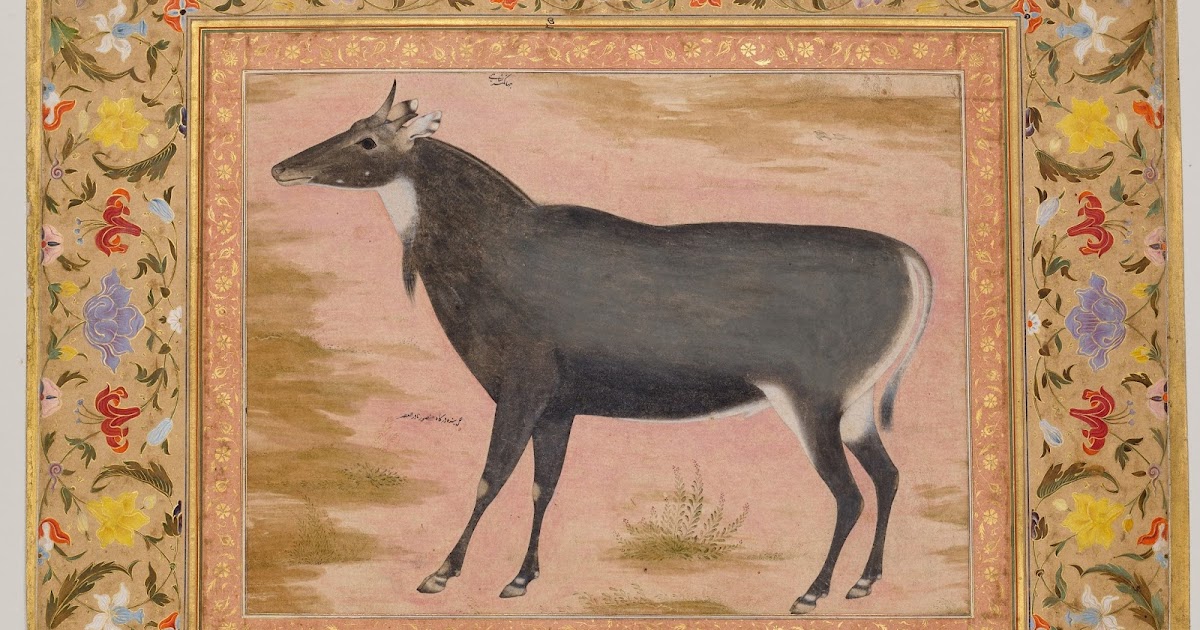 Are species vermin in today's age?