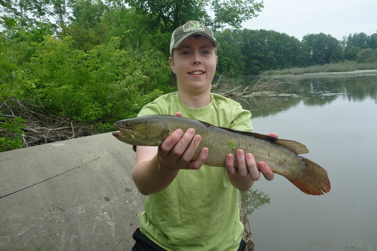 The Definition of Insanity: a Fisherman's Tale: June 2013