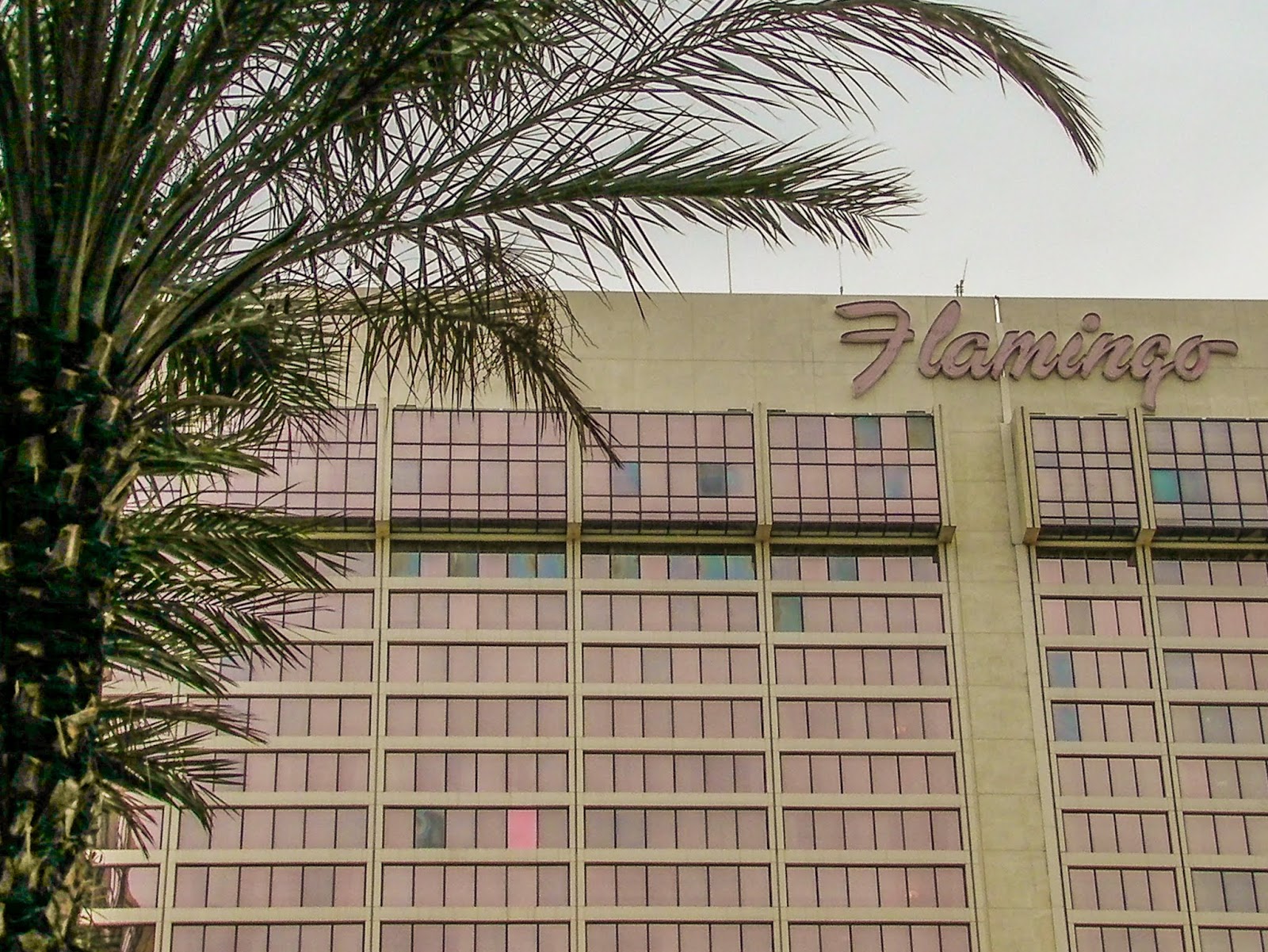 Atlantic City Hotel Rooms: Flamingo Las Vegas "Fab" Room 19120 (7/2012)