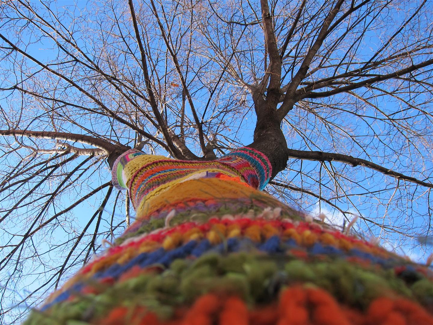 Wires & Yarns: Knitting to Heal - Yarn Bombing - My Tree